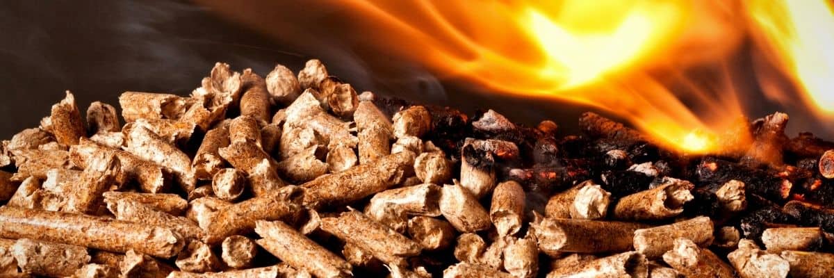 The Ultimate Guide to Choosing the Best Wood for Smoking Meat